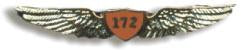 Cessna 172 Wings PIN — eSHOP.AERO